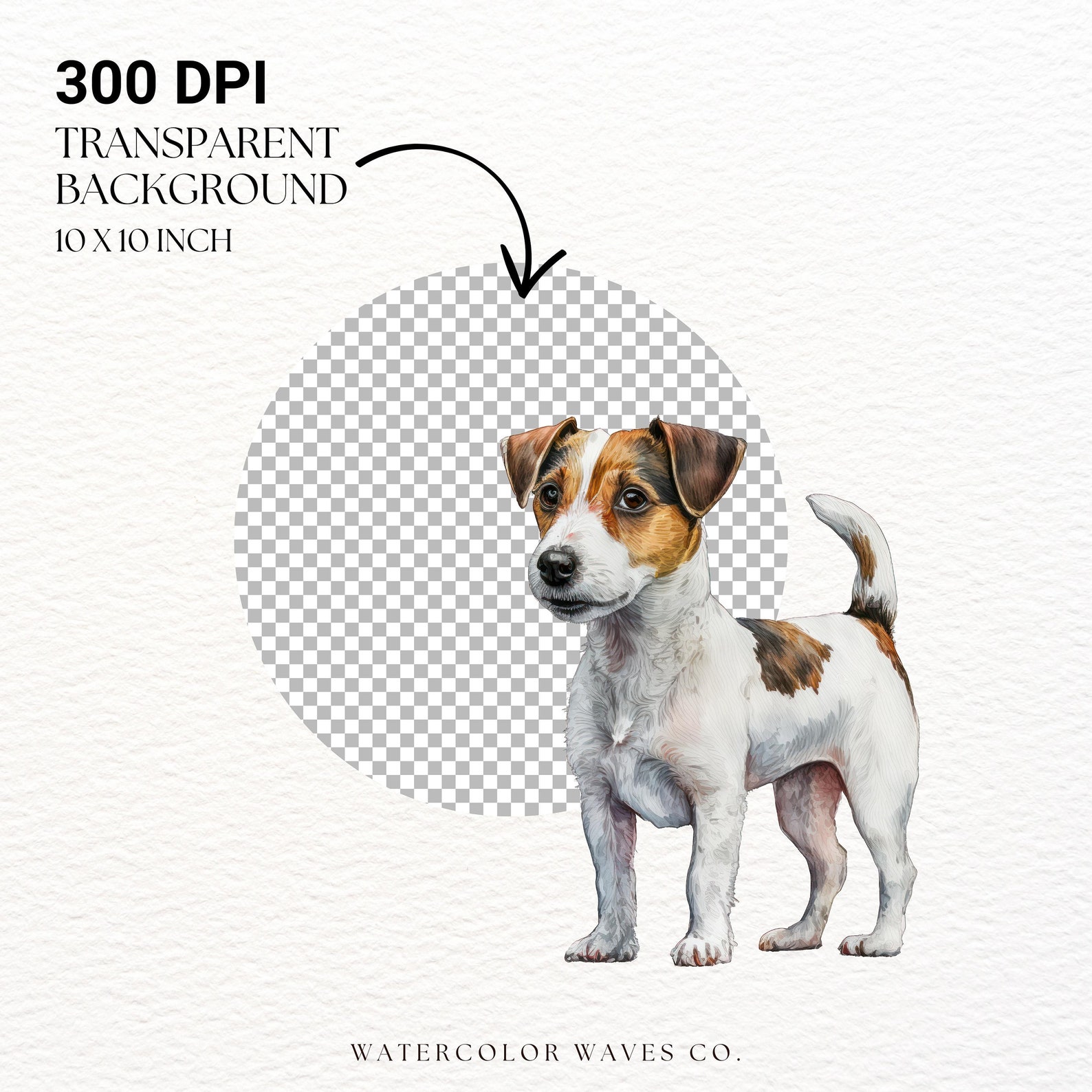 Jack Russell Clipart Dog PNG Watercolor Dog Clipart Jack - Etsy Australia