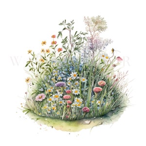 Wildflower Meadow Clipart Bundle | Watercolor Spring Flowers JPG ...