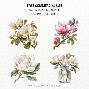 Spring Magnolias PNG | Watercolor Magnolia Clipart Bundle | Magnolia Tree | Flowers Clipart ...