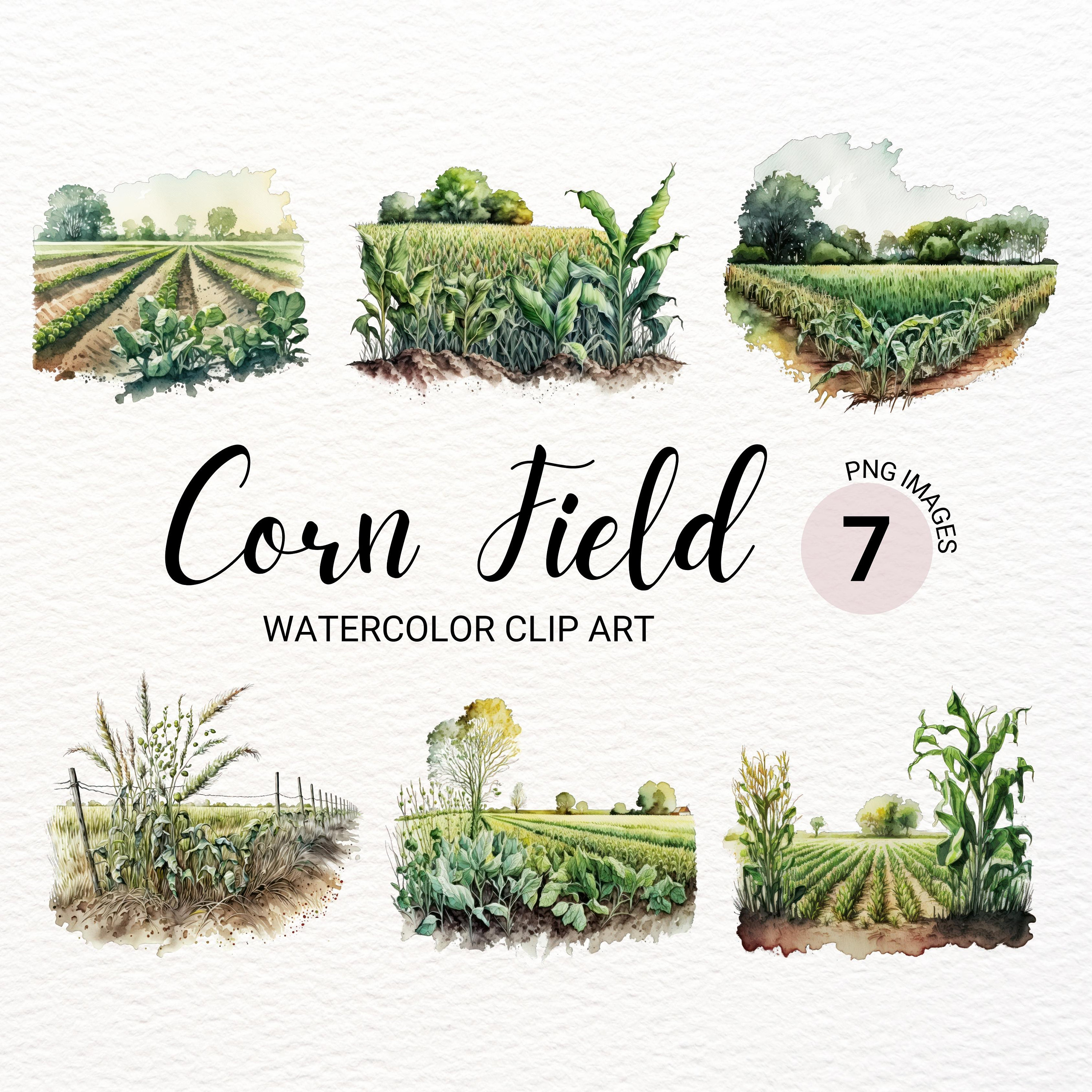 Field Background Clip Art