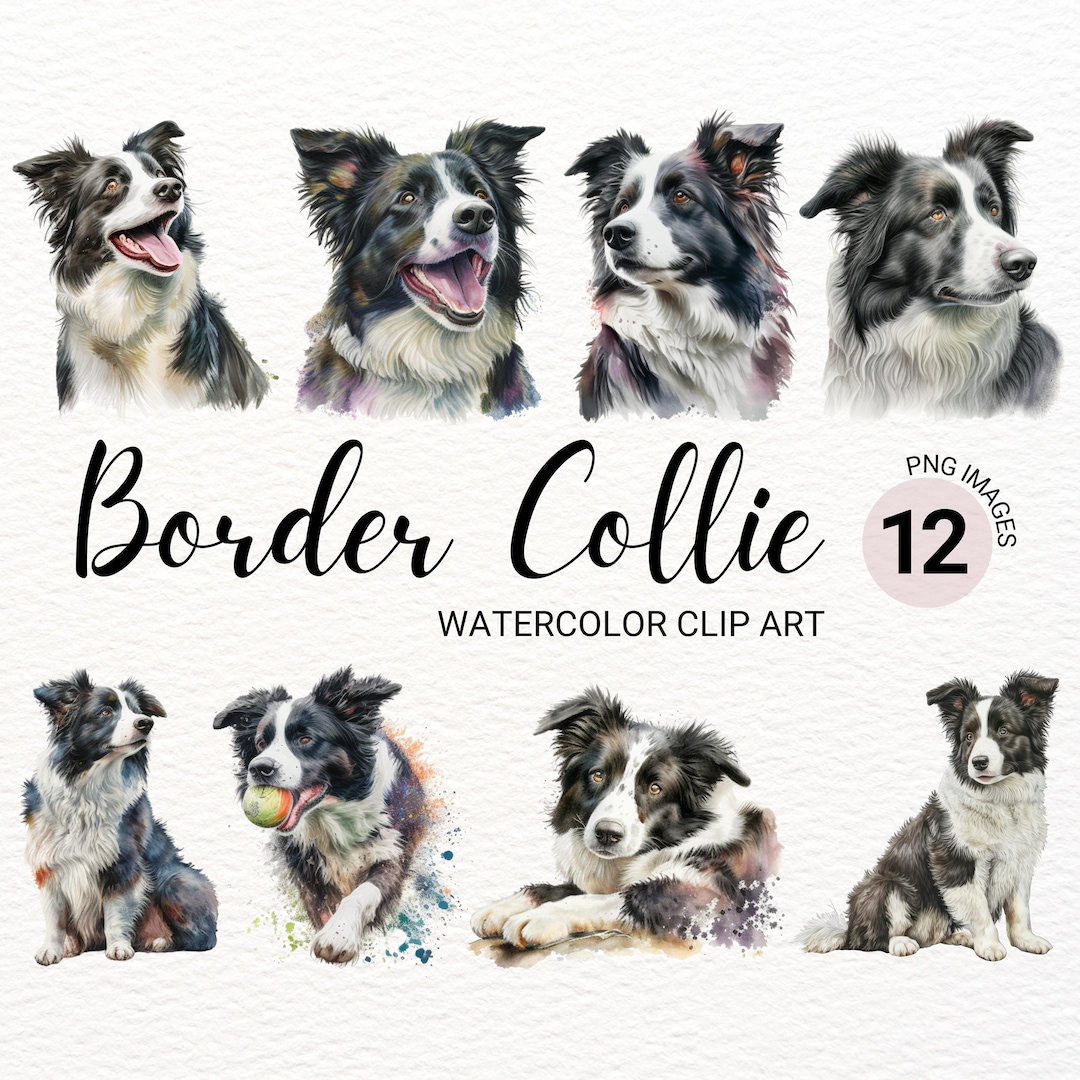 Border Collie Clipart | Cute Dog Clipart | Dog PNG | Watercolor Border ...