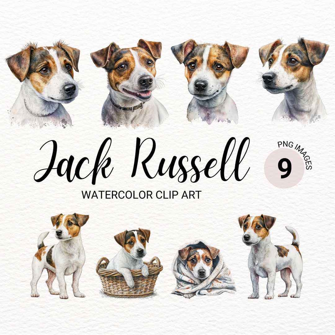 Jack Russell Clipart | Dog PNG | Watercolor Dog Clipart | Jack Russell ...