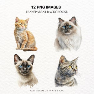 Cat Breeds PNG | Watercolor Cats Clipart Bundle | Cute Pet Portrait ...