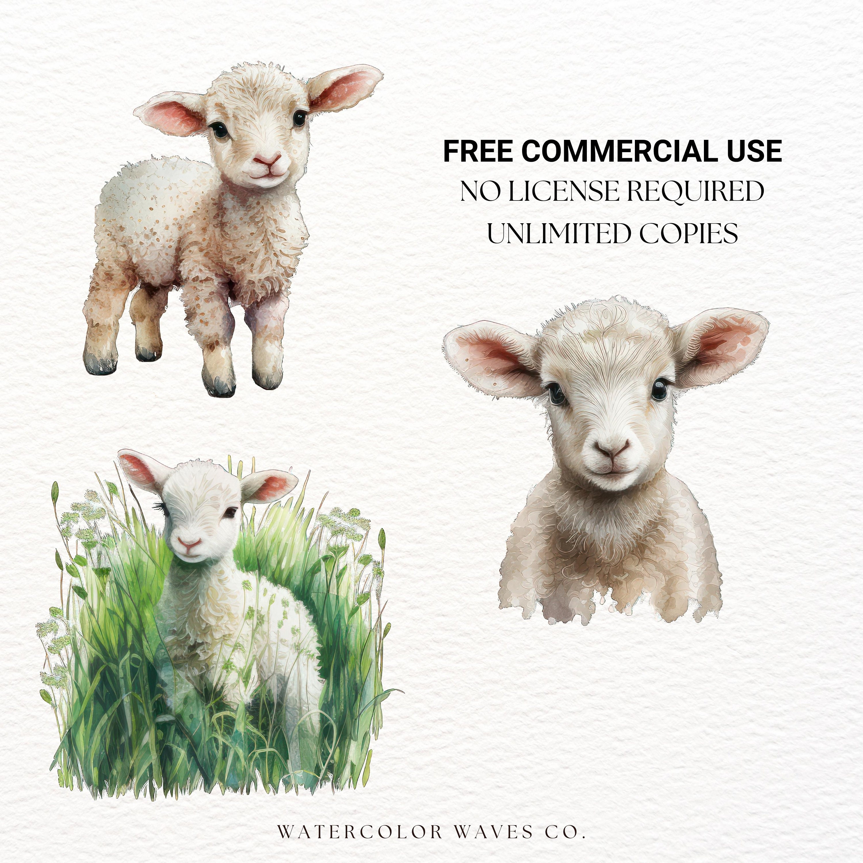 Baby Lamb Clipart Lamb PNG Baby Animals Farm Animals PNG - Etsy Canada
