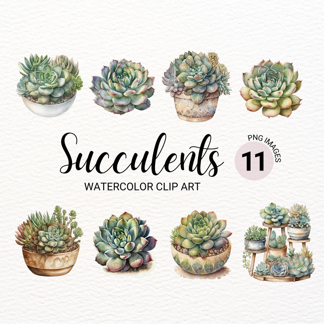Watercolor Succulent PNG | Succulent Clipart Bundle | Floral PNG ...