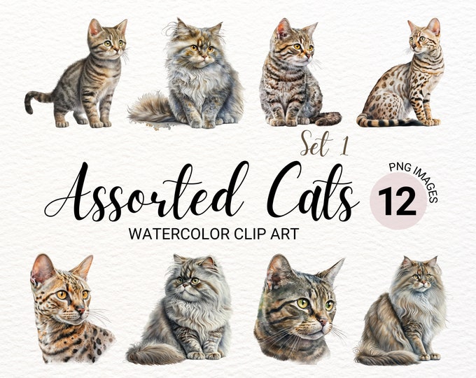 Ginger Tabby Cat Clipart | Watercolor Tabby Cat Clipart Bundle | Cute ...