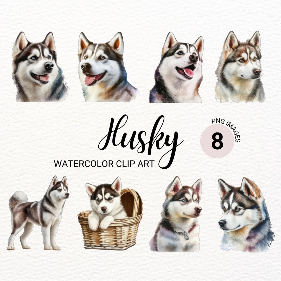 Siberian Husky Clipart | Husky Dog PNG | Watercolor Dog Portrait | Cute ...