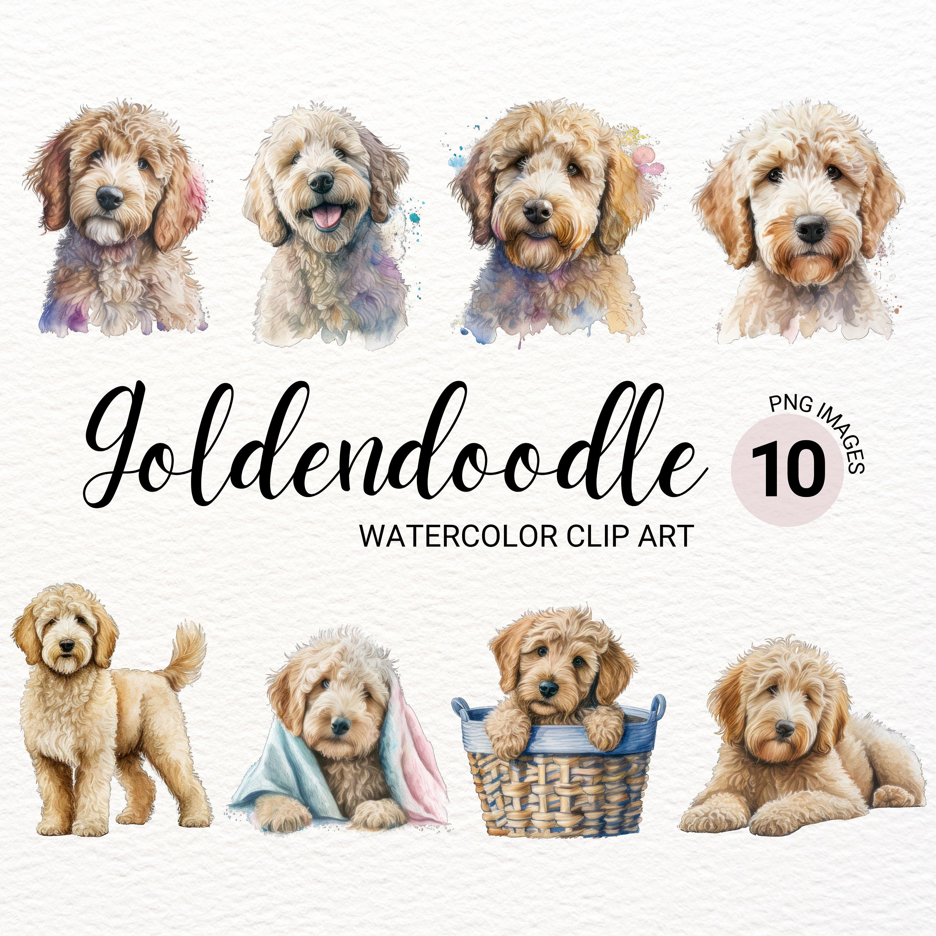 Goldendoodle Clipart Dog PNG Golden Doodle PNG Cute Dog - Etsy Australia