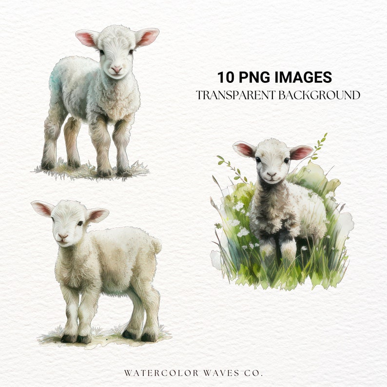 Baby Lamb Clipart Lamb PNG Baby Animals Farm Animals PNG - Etsy Canada