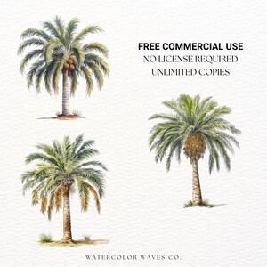 Palm Tree Clipart | Watercolor Tropical Tree PNG | Junk Journal ...