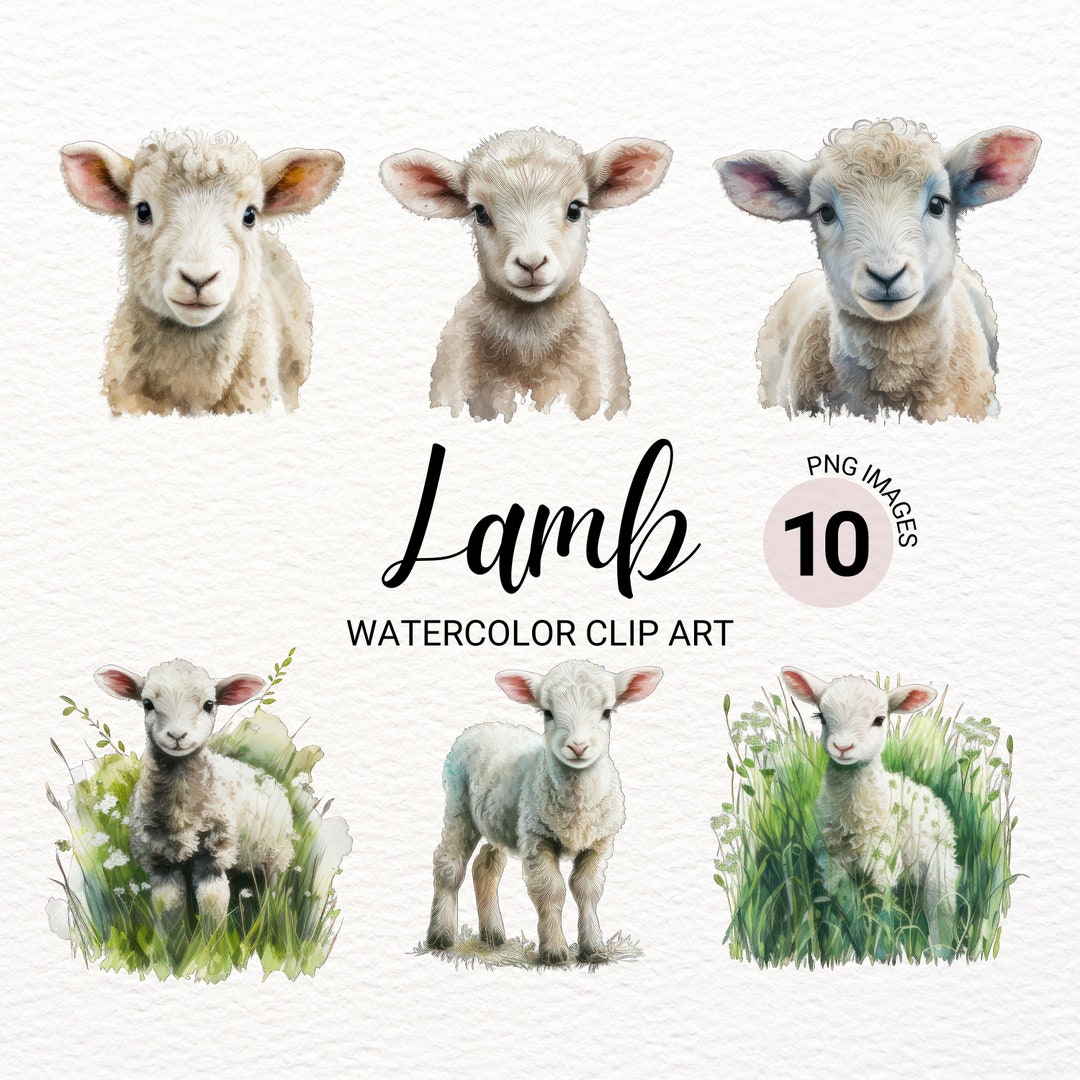 Baby Lamb Clipart | Lamb PNG | Baby Animals | Farm Animals PNG | Baby ...