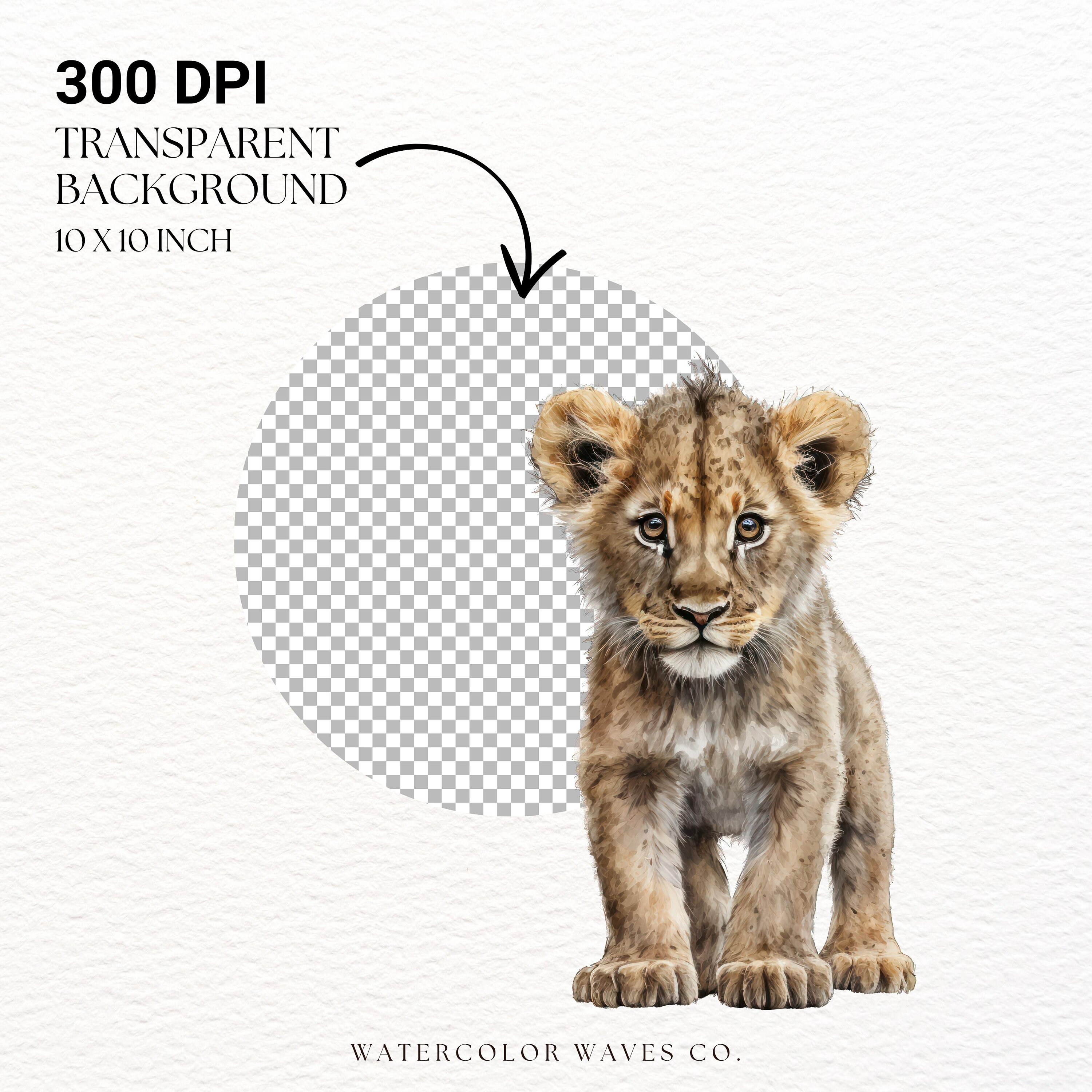 Watercolor Baby Safari Animals PNG Baby Animals Clipart - Etsy UK