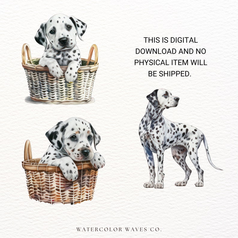 Dalmatian Clipart Dog PNG Cute Dog Clipart Nursery - Etsy
