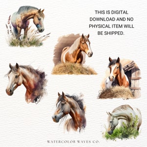 Horse PNG | Horse Clipart Set | Watercolor Horse Sublimation Designs ...