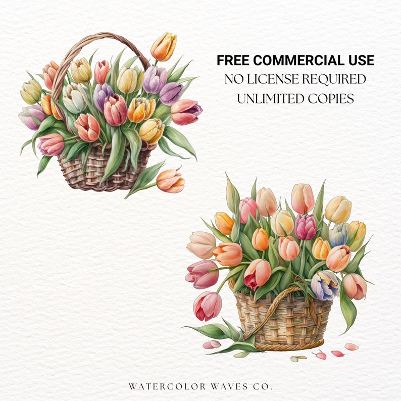 Tulip Clipart | Watercolor Tulip PNG | Floral PNG | Summer Clipart ...