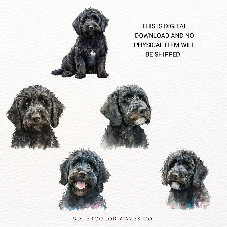 Black Labradoodle Clipart Dog PNG Black Goldendoodle - Etsy