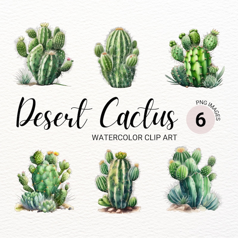 Cactus Clipart - Etsy