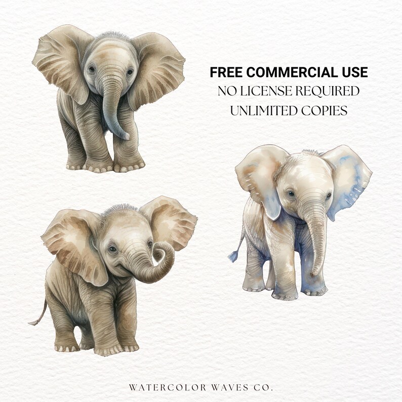 Baby Elephant PNG Baby Animals Clipart Watercolor Elephant - Etsy