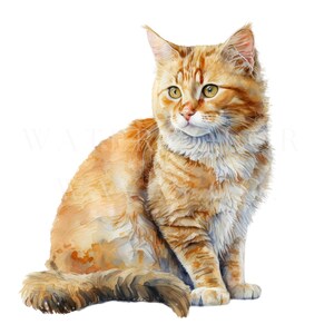 Ginger Tabby Cat Clipart | Watercolor Tabby Cat Clipart Bundle | Cute ...