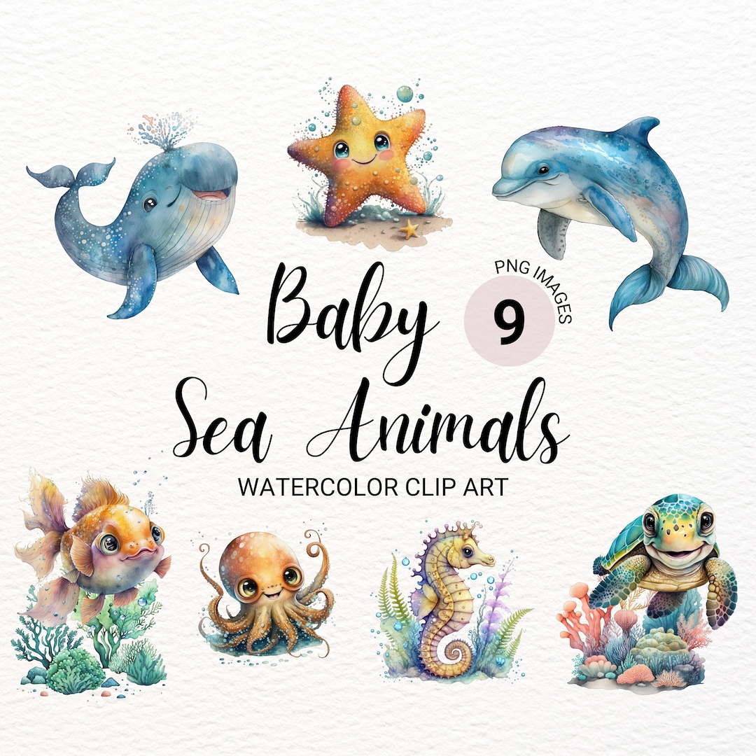 Baby Sea Animals Clipart | Watercolor Ocean PNG | Kawaii Summer Beach ...