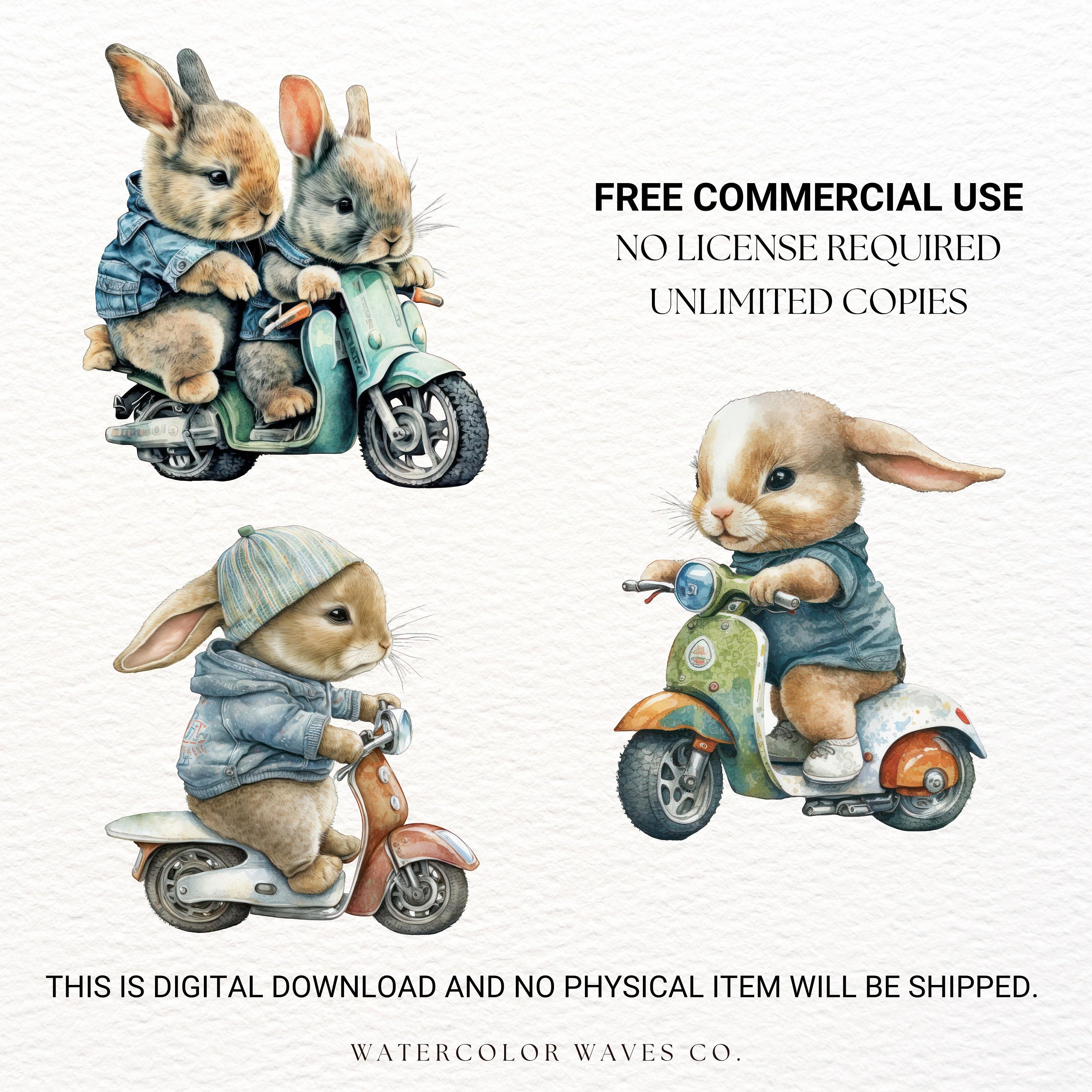Biker Bunny Clipart Easter Bunny PNG Cute Baby Animals - Etsy Australia