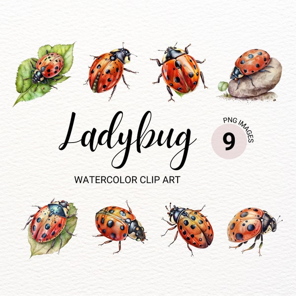 Ladybug - Etsy