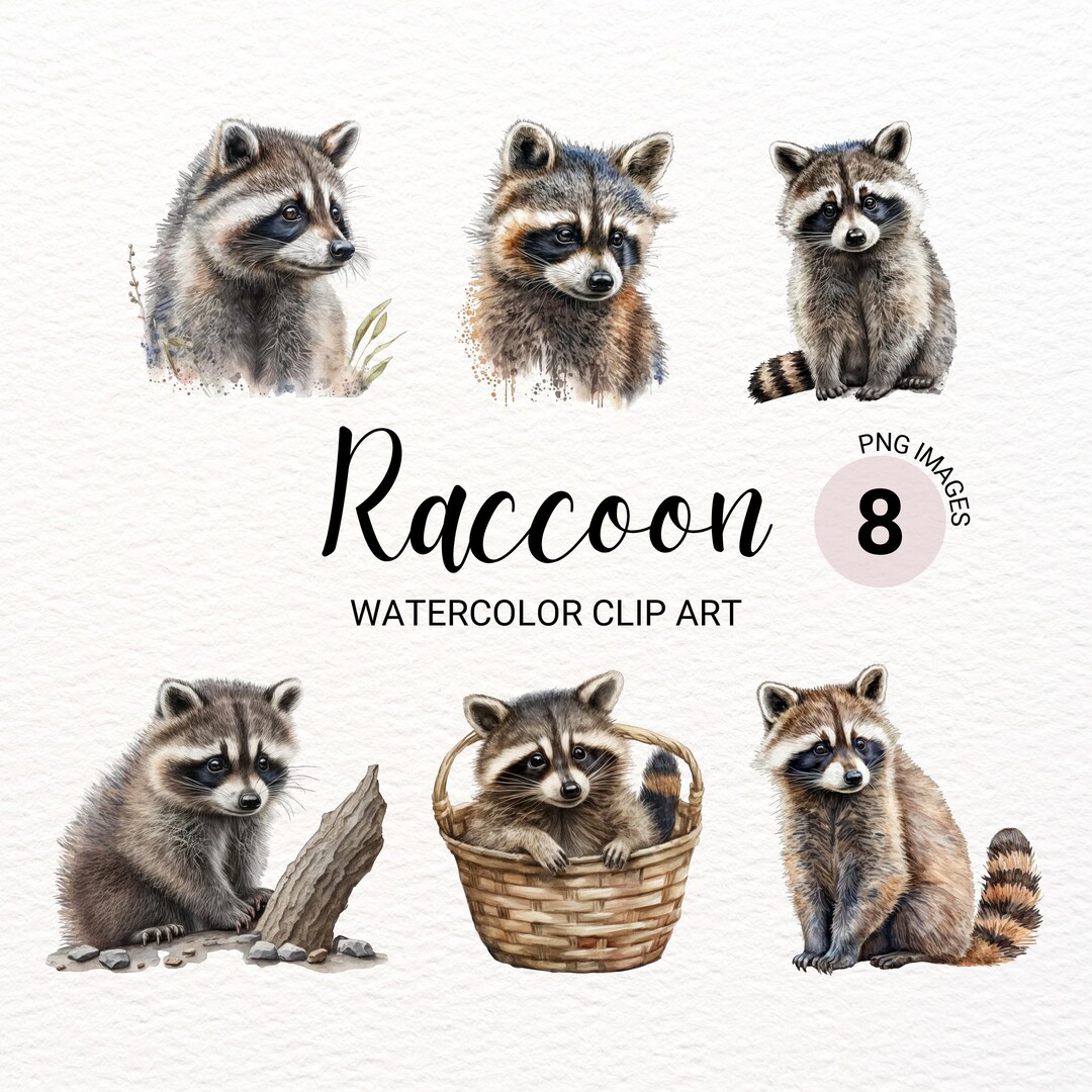 Raccoon Clipart | Watercolor Woodland Animals Clipart | Baby Animals ...