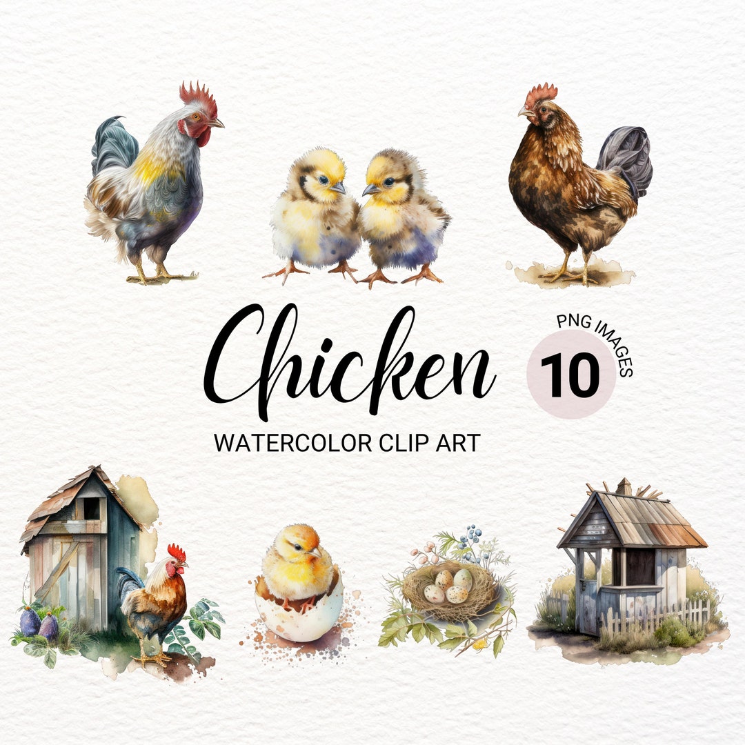 Watercolor Chicken PNG | Baby Animals | Baby Chick Clipart | Farm ...