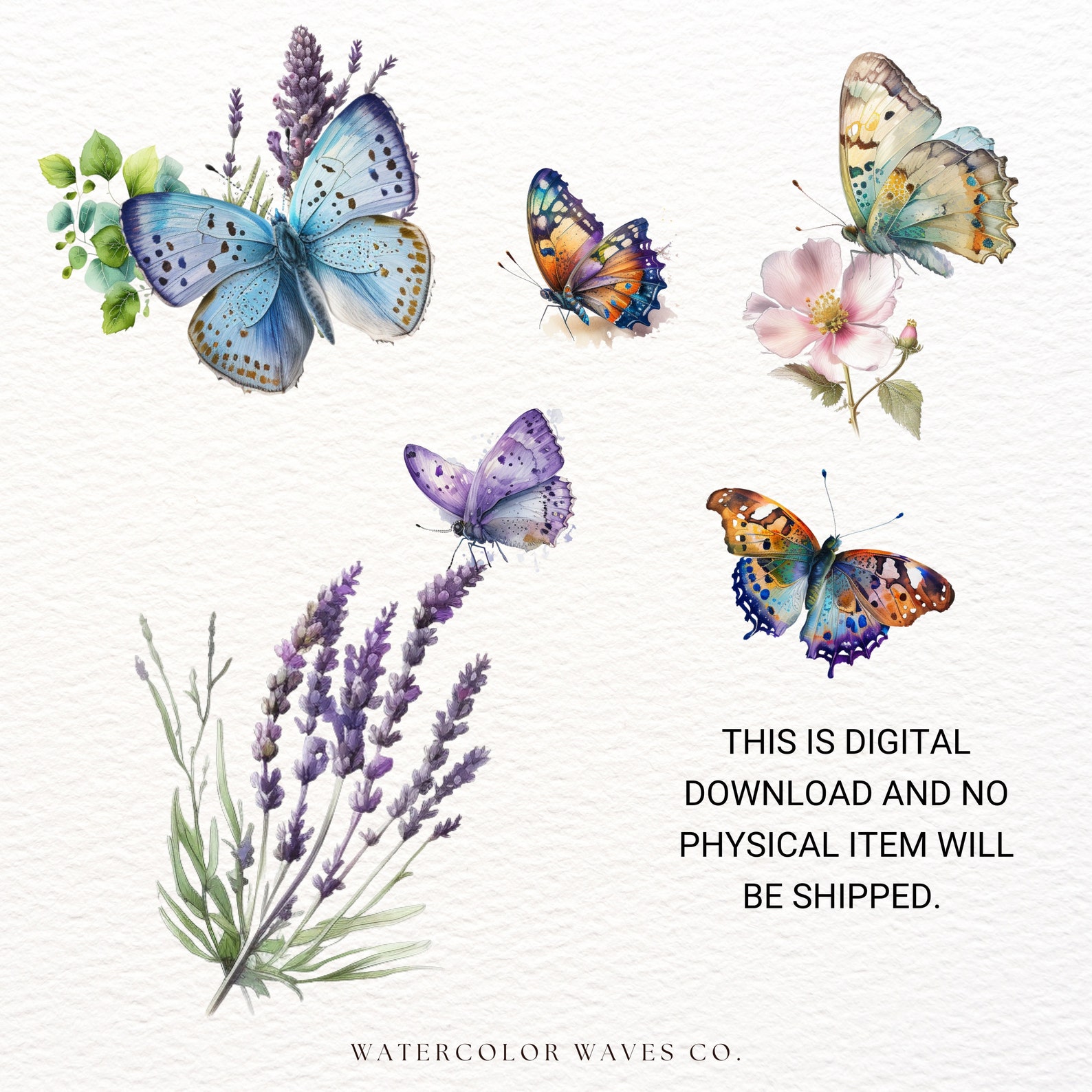 Monarch Butterfly Clipart | Watercolor Butterfly PNG | Floral Clipart ...