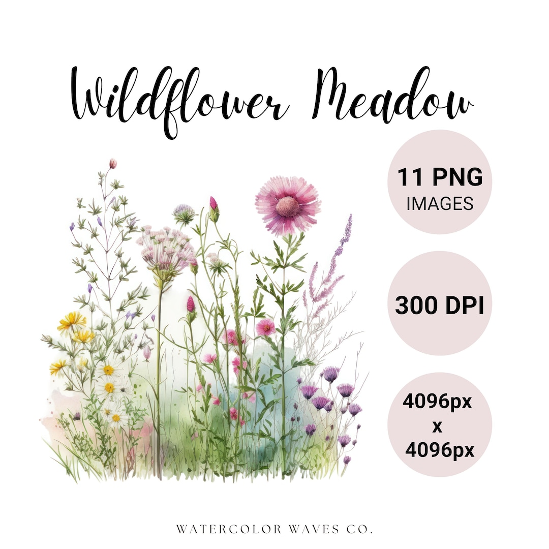 Wildflower Meadow Clipart Bundle Watercolor Spring Flowers - Etsy