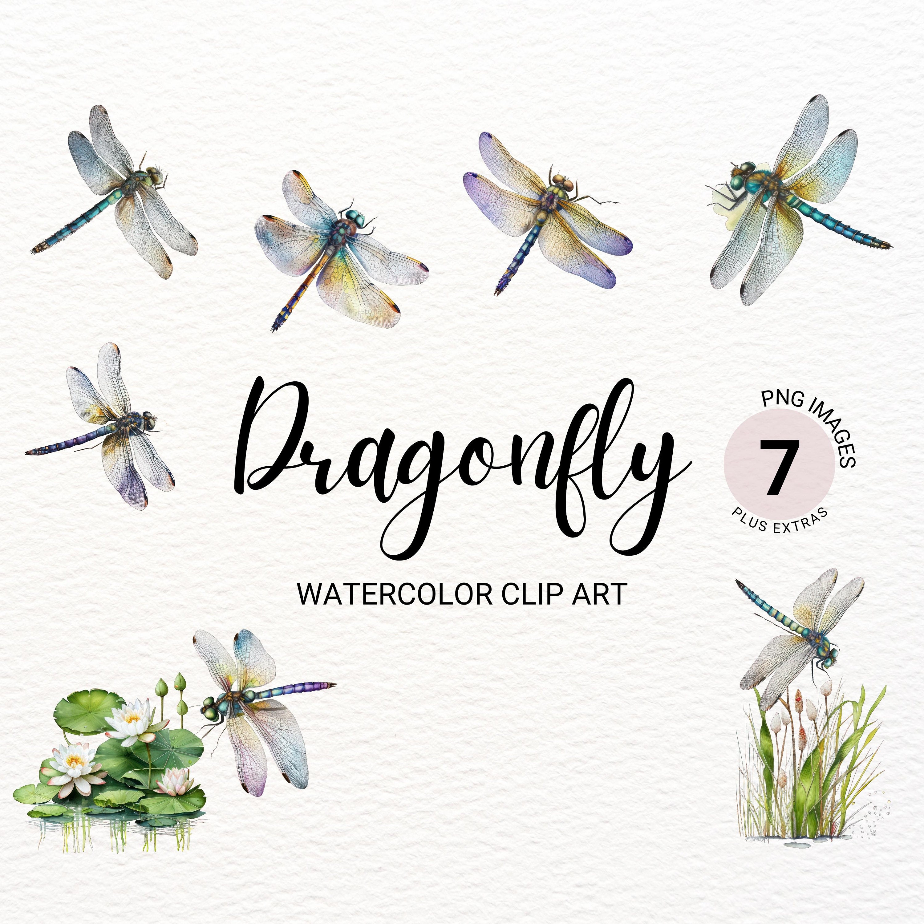 Dragonfly Watercolor PNG Watercolor Dragonfly Clipart - Etsy UK