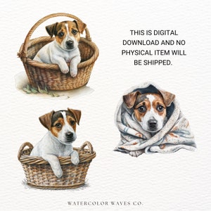 Jack Russell Clipart Dog PNG Watercolor Dog Clipart Jack Russell Art ...