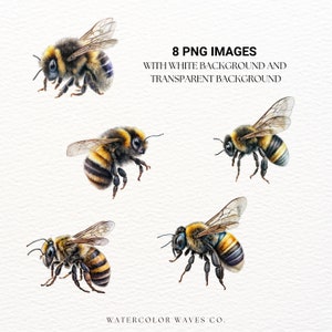 Watercolor Bumblebee Clipart | Bee PNG | Summer Clipart | Honeybee ...