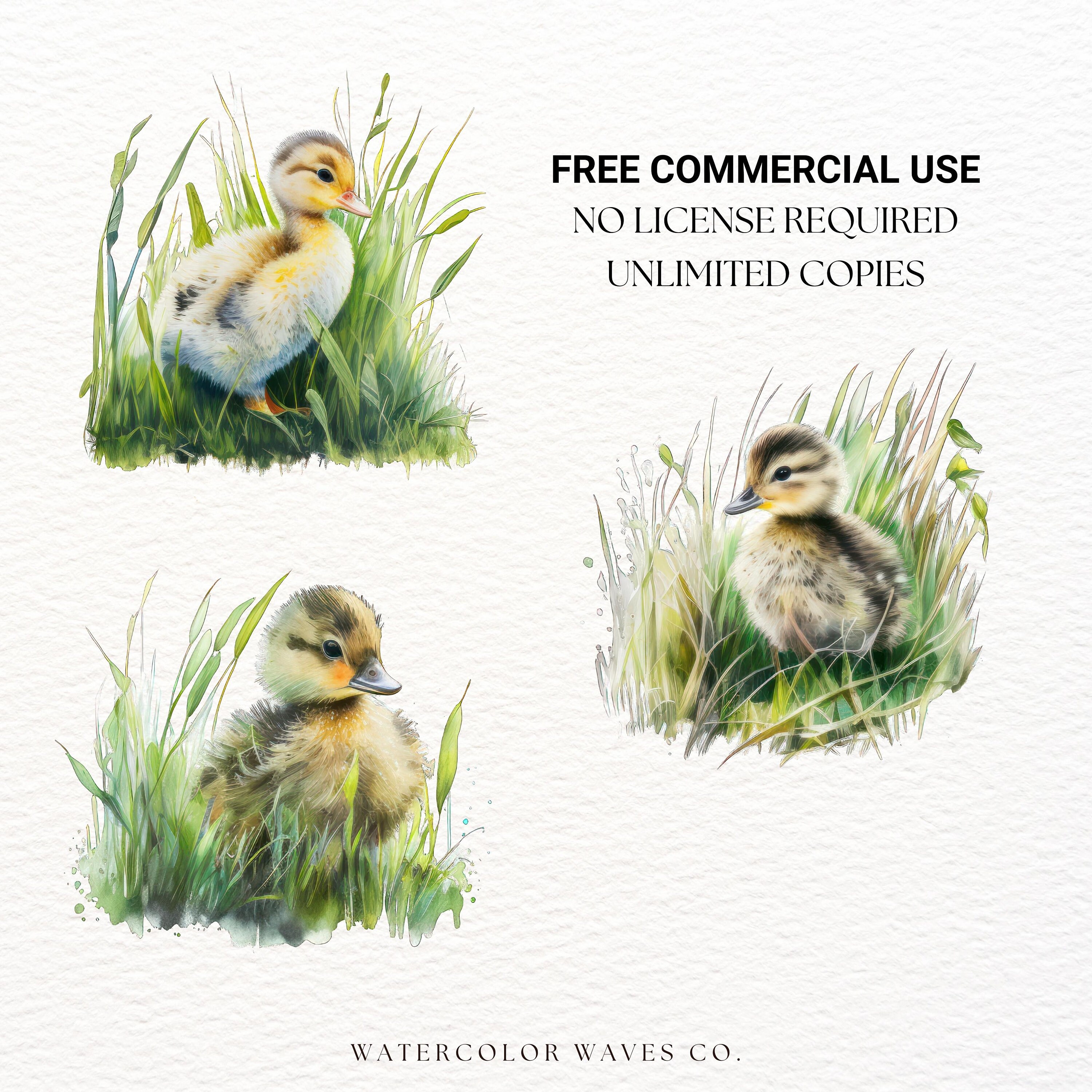 Fluffy Ducklings PNG Chicks Clipart Baby Ducks PNG Duck - Etsy UK