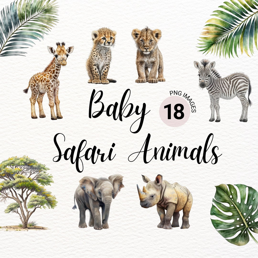Watercolor Baby Safari Animals PNG | Baby Animals Clipart | Jungle ...