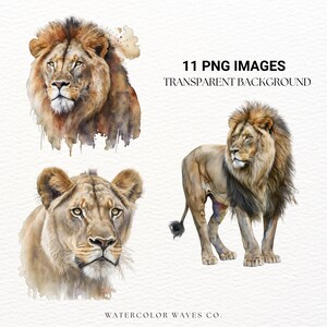 Lion Clipart | Watercolor Lion PNG | Safari Animals Clipart Bundle ...