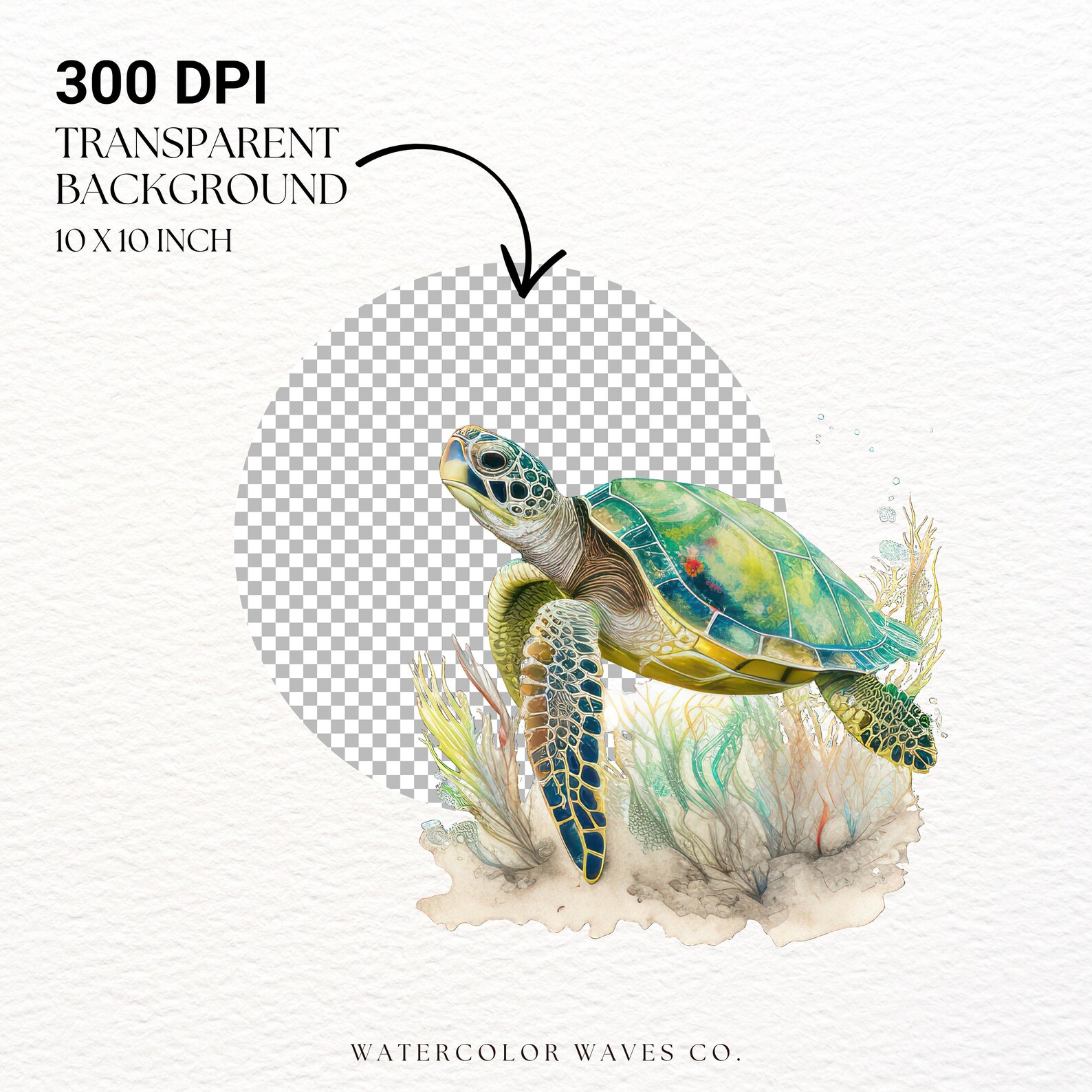 Sea Turtle PNG Watercolor Sea Turtle Clipart Sea Animals PNG Cute Sea ...
