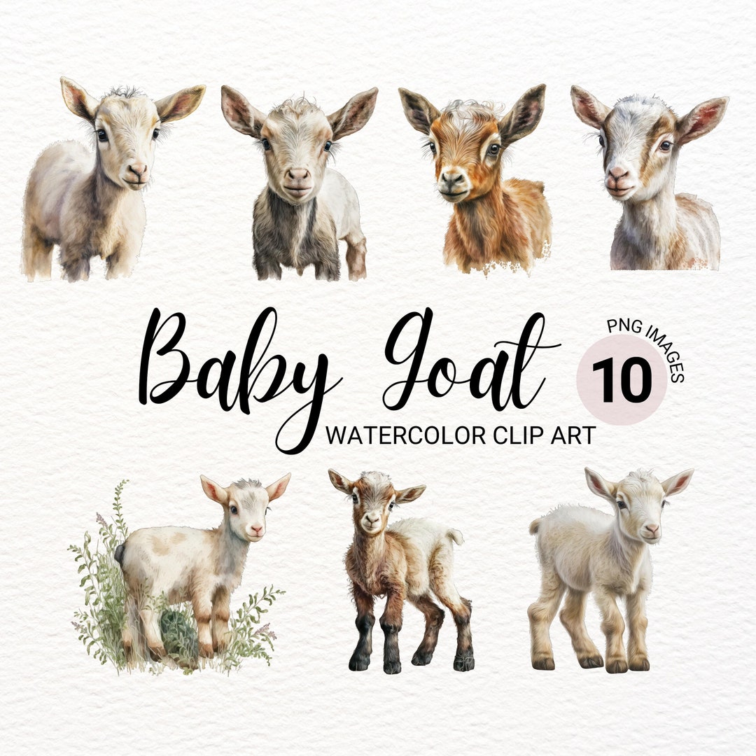 Baby Goat Clipart | Farm Animals PNG | Baby Animals | Watercolor Goat ...