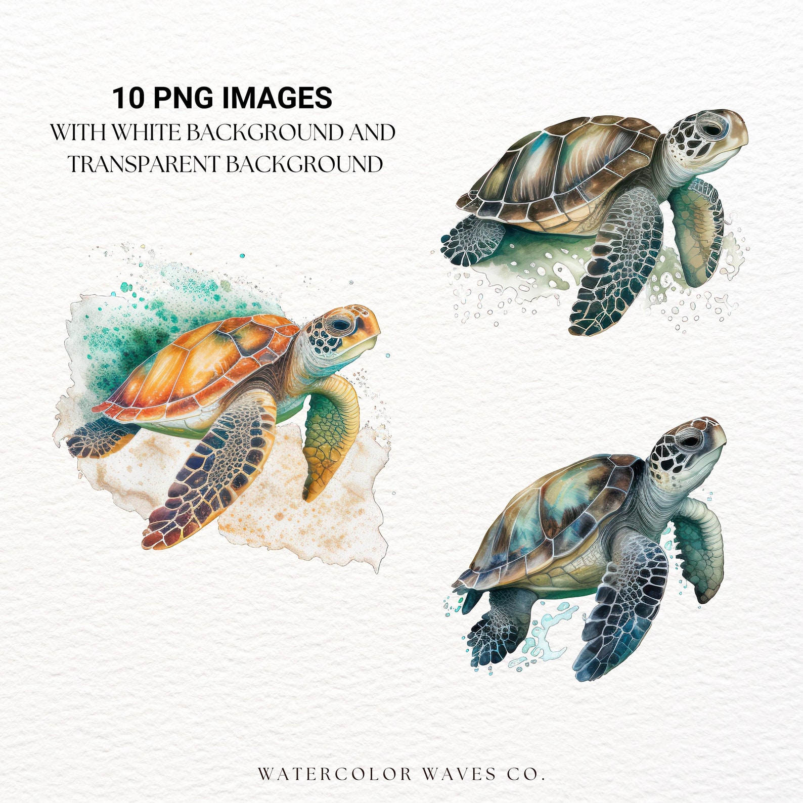 Sea Turtle PNG Watercolor Sea Turtle Clipart Sea Animals PNG Cute Sea ...