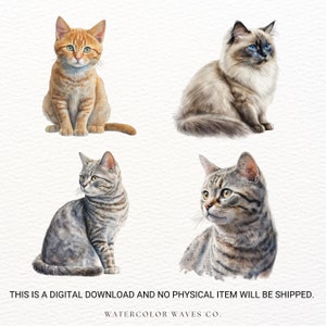 Cat Breeds PNG | Watercolor Cats Clipart Bundle | Cute Pet Portrait ...