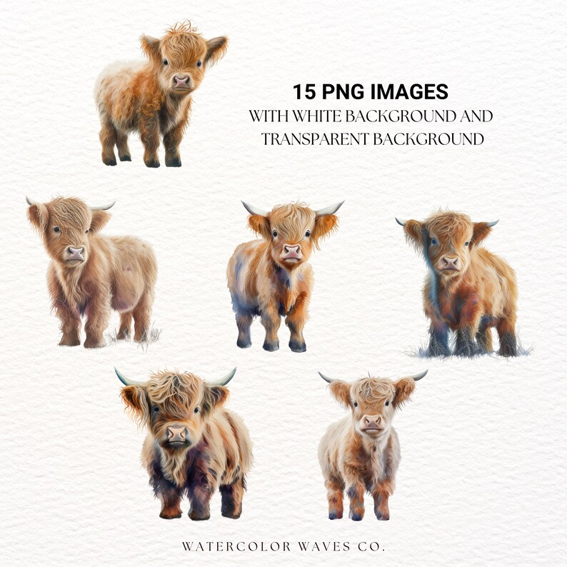 Baby Highland Cow PNG | Highland Cow Baby | Highland Cow Nursery | Cow ...