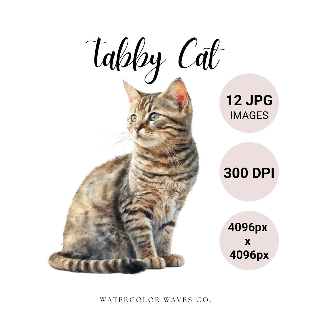 Tabby Cat JPG | Watercolor Tabby Cat Clipart Bundle | Cute Pet Portrait ...