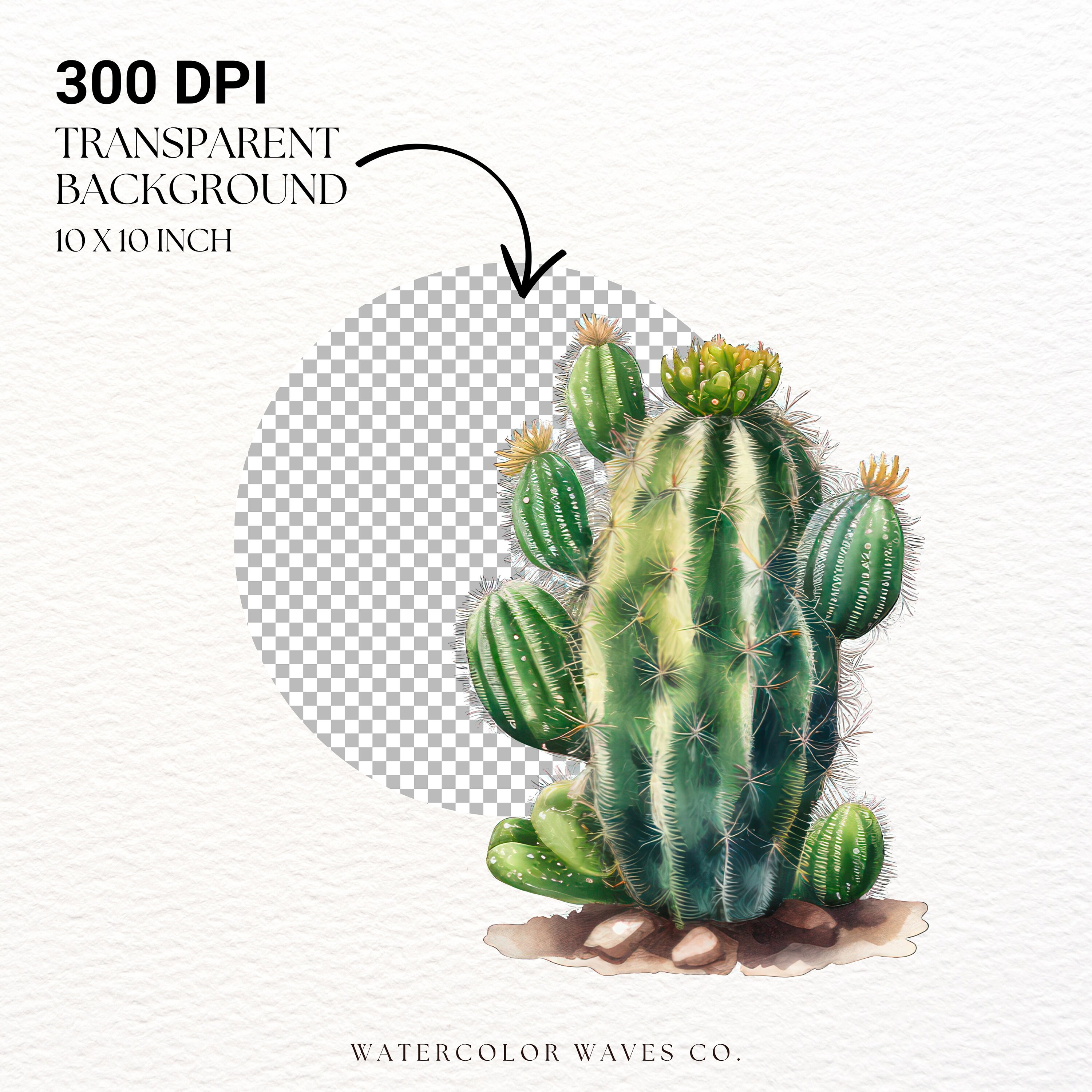 Cactus Print Cute Cactus Clipart Watercolor Cactus PNG - Etsy
