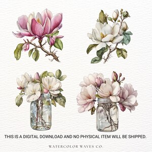 Spring Magnolias PNG | Watercolor Magnolia Clipart Bundle | Magnolia Tree | Flowers Clipart ...