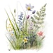 Wildflower Meadow Clipart Bundle Watercolor Spring Flowers JPG Floral ...
