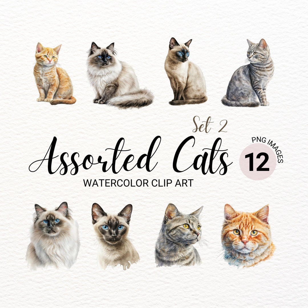Cat Breeds PNG | Watercolor Cats Clipart Bundle | Cute Pet Portrait ...