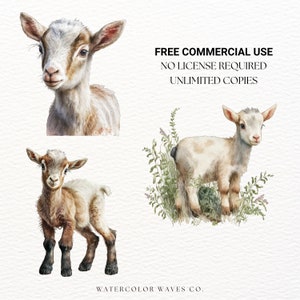 Baby Goat Clipart | Farm Animals PNG | Baby Animals | Watercolor Goat ...