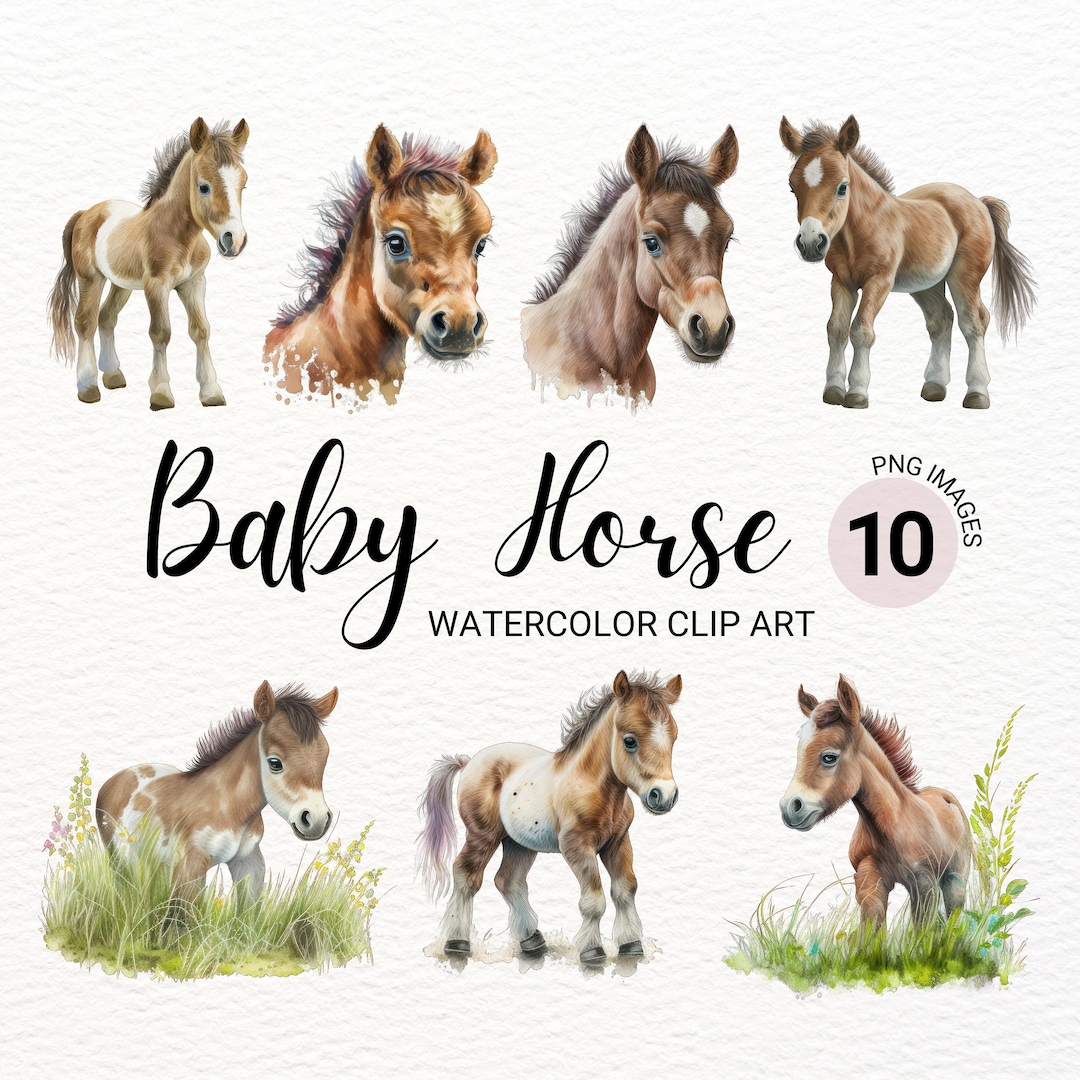 Baby Horse PNG | Horse Clipart | Watercolor Horse | Baby Animals ...