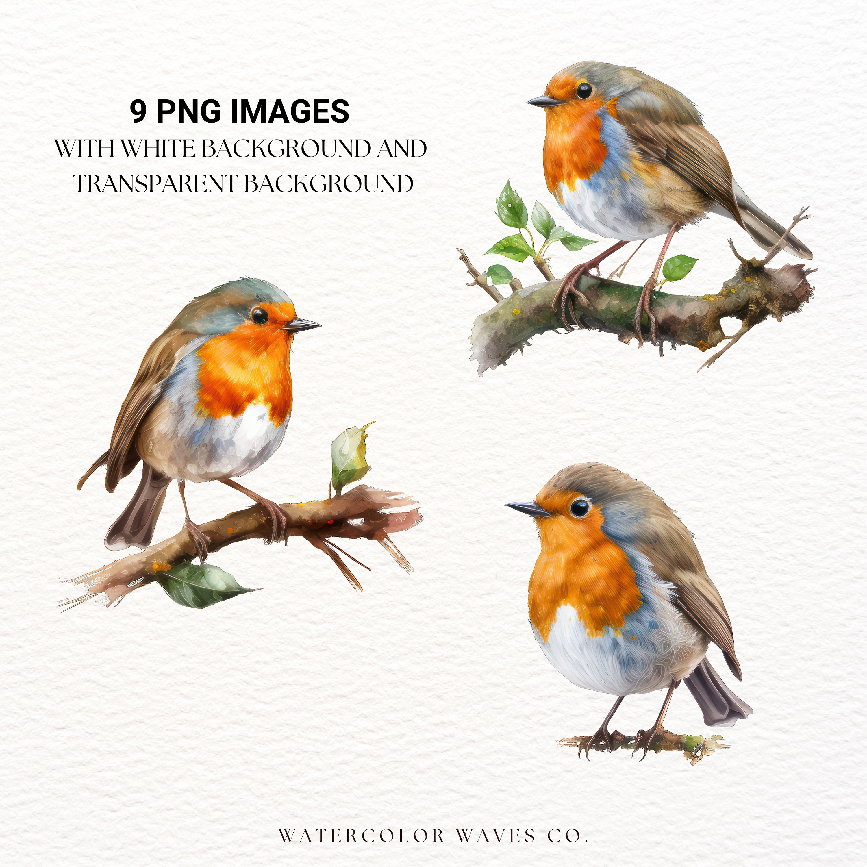 Robin Bird Clipart Robin Bird PNG Watercolor Bird Clipart - Etsy UK