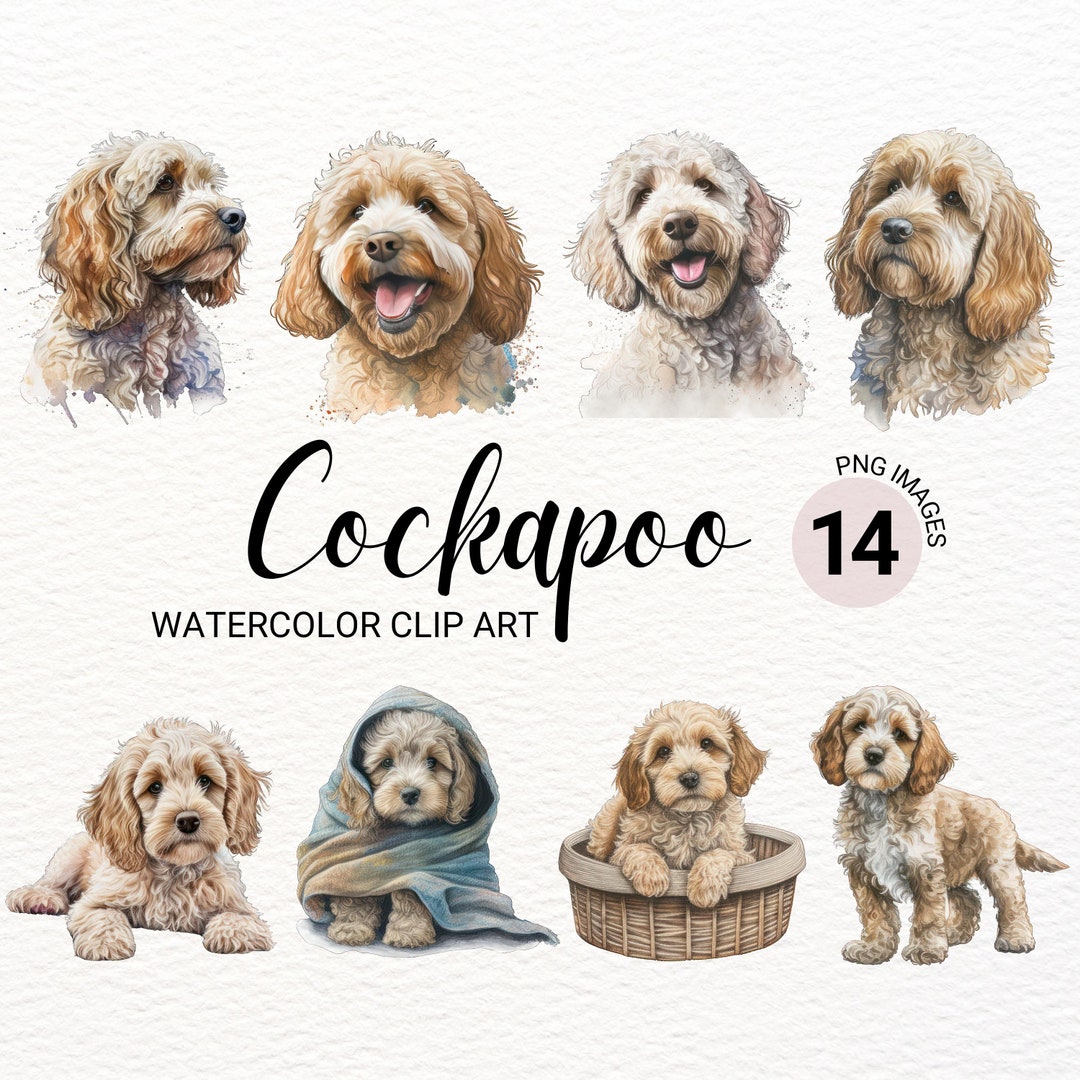 Cockapoo Clipart Cute Dog Clipart Dog PNG Watercolor Cockapoo PNG Dog ...